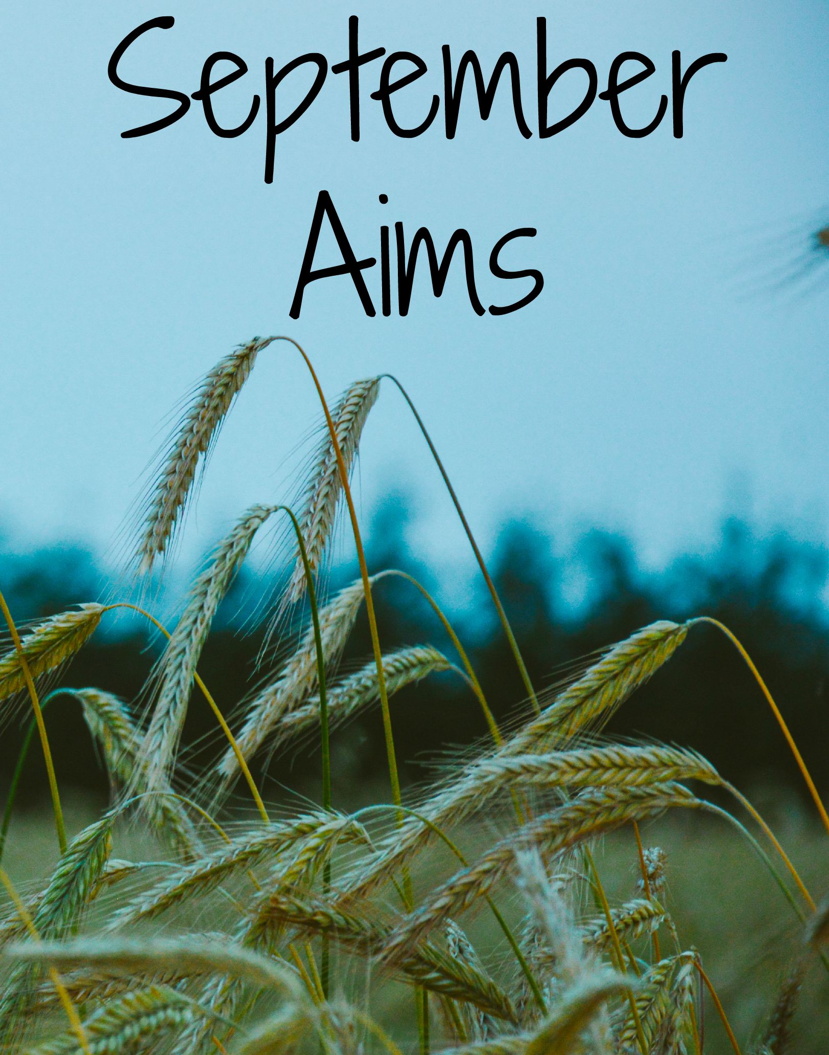 September Aims - The Frugal Cottage